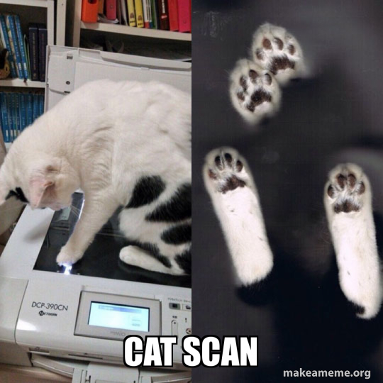 CAT SCAN Meme Generator