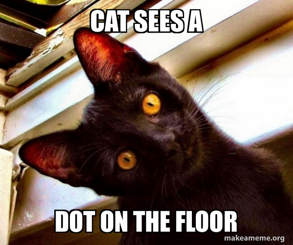 cat sees a dot on the floor - Overly Attached Cat Meme Generator