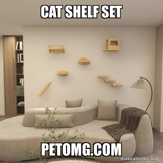 Cat Shelf Set petomg.com - Cat Shelf Set Meme Generator