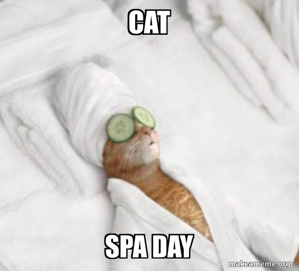 Cat Spa day - Pampered Cat Meme Meme Generator