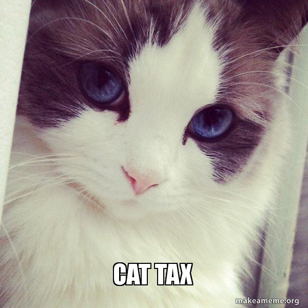 Cat tax - Ridiculously Photogenic Cat Meme Generator