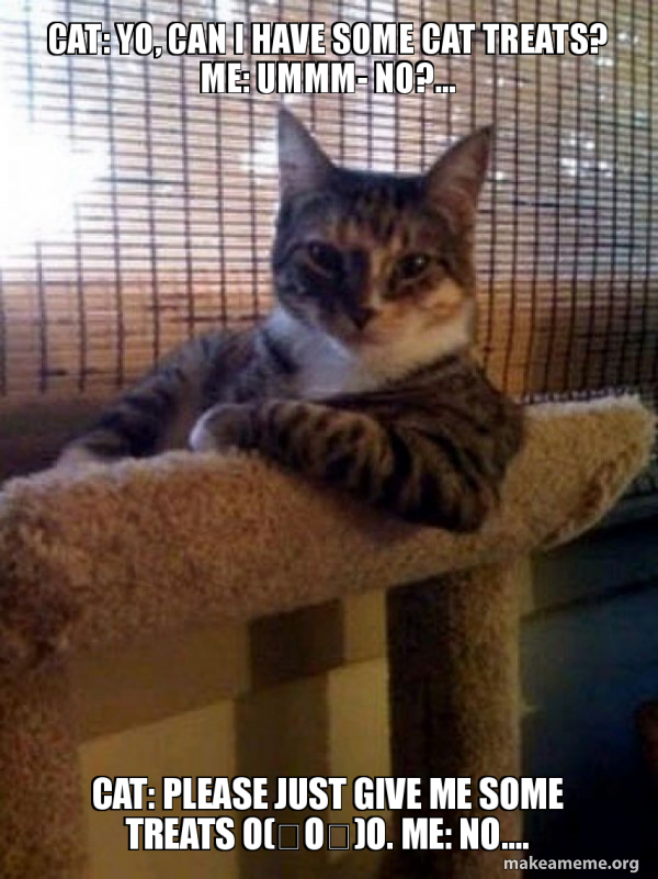 Cat: Yo, can I have some cat treats? Me: ummm- no?... Cat: Please just ...