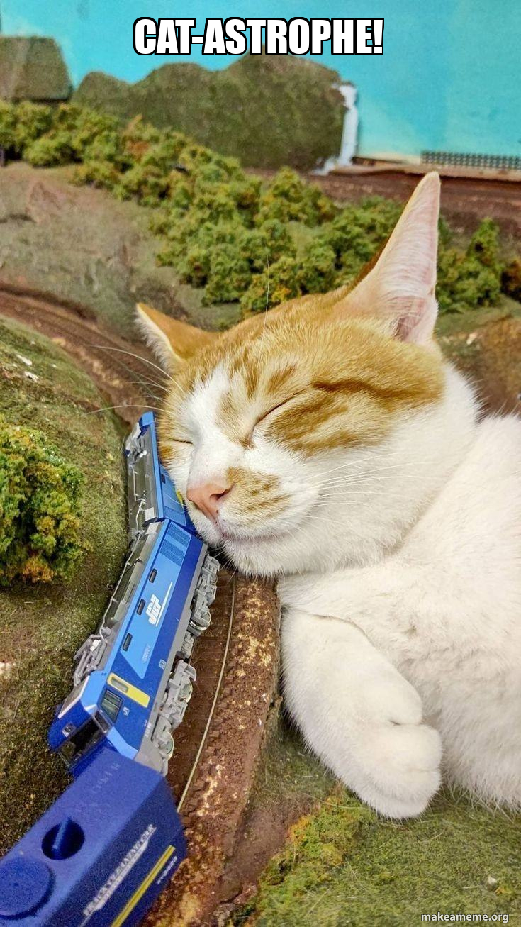CAT-astrophe! Meme Generator