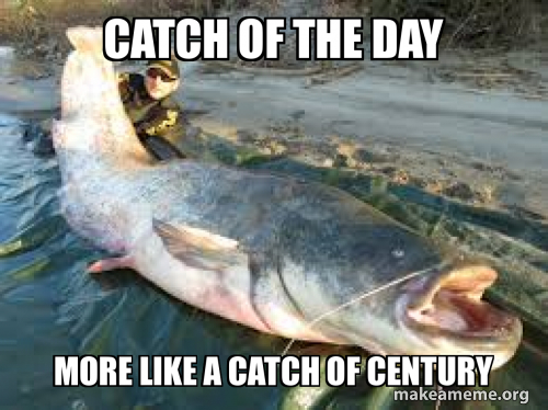 catch of the day more like a catch of century Meme Generator