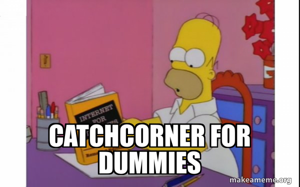 CATCHCORNER FOR DUMMIES - Computer Homer Meme Generator