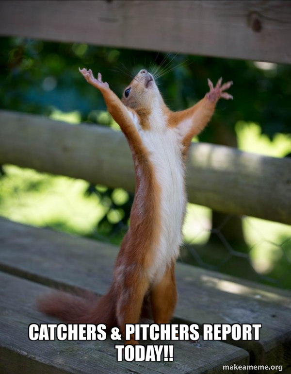 catchers & pitchers report today!! - Happy Squirrel Meme Generator