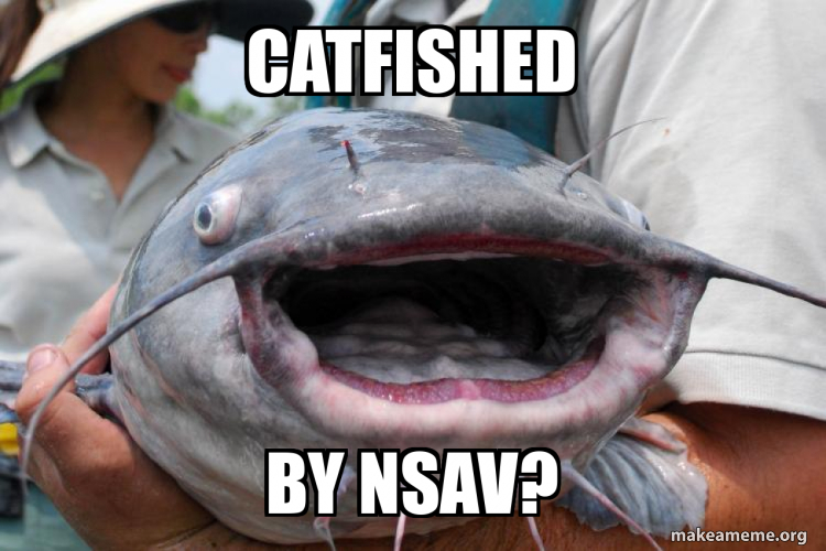 catfished By nsav? - Nsav Meme Generator