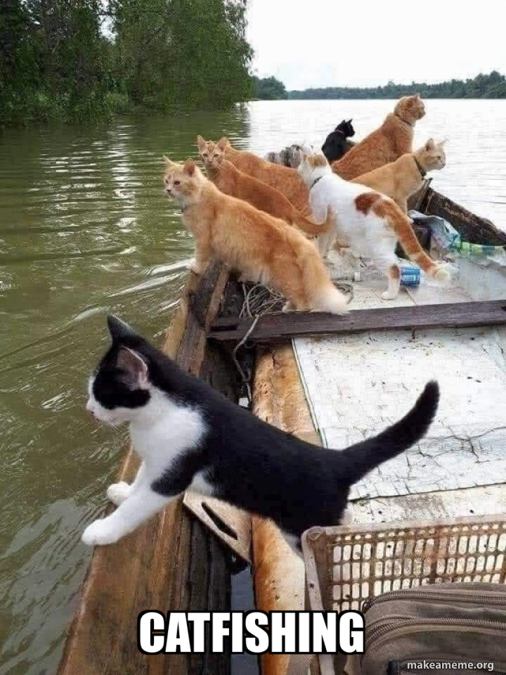 catfishing Meme Generator