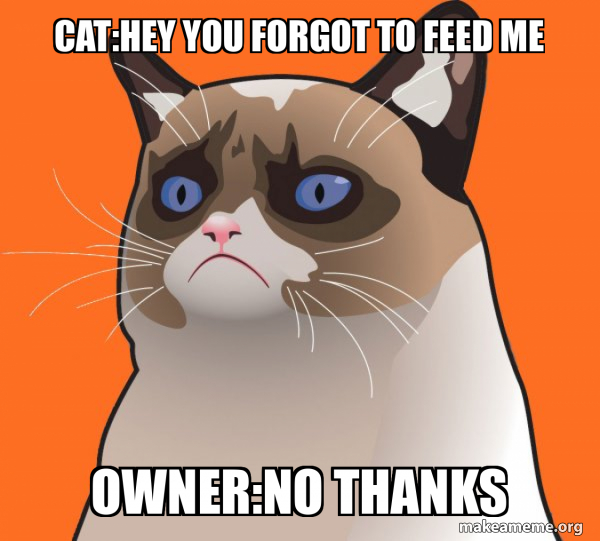 Cat:Hey you forgot to feed me Owner:no thanks - Cartoon Grumpy Cat Meme ...