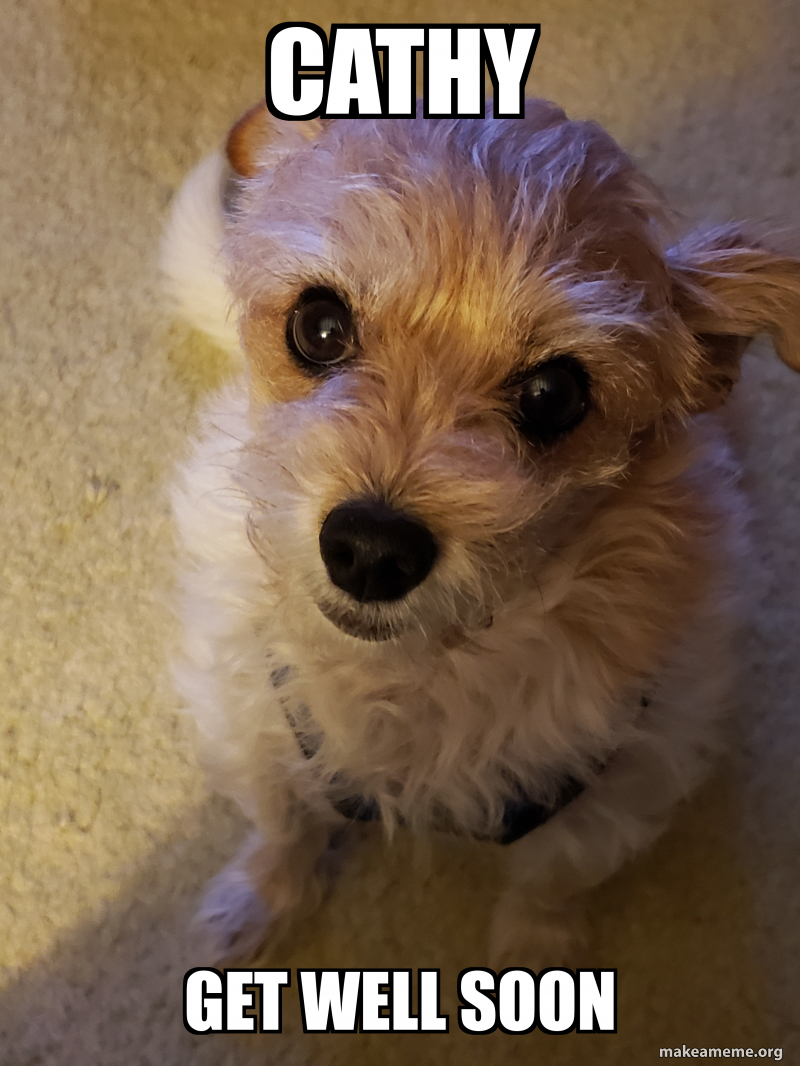 Cathy Meme 25 Memes That Sum Up Jordan Peterson Vs. Cathy Newman | By