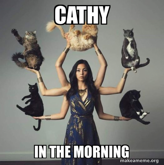 cathy in the morning Meme Generator
