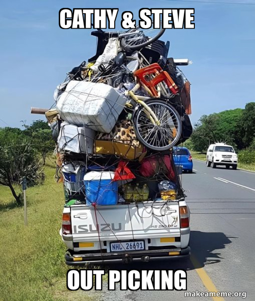 cathy & steve out picking Meme Generator