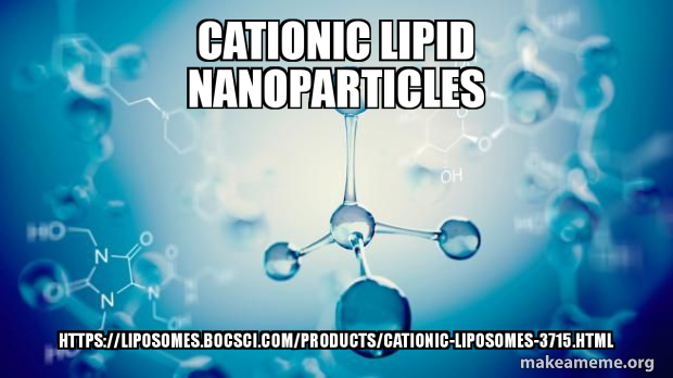 cationic lipid nanoparticles https://liposomes.bocsci.com/products ...
