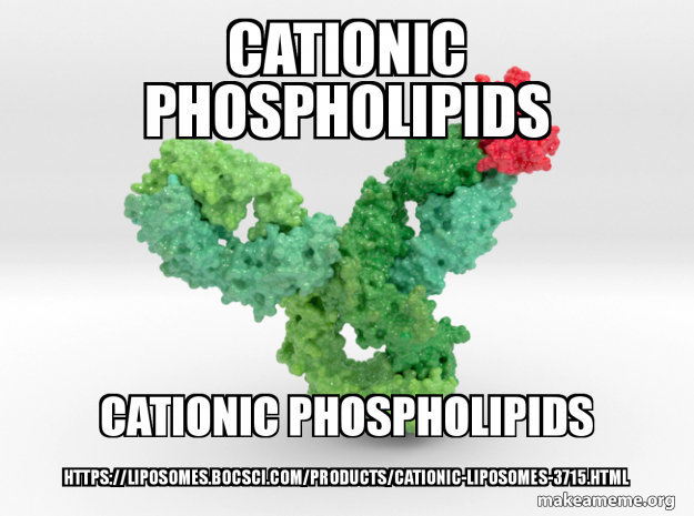 cationic phospholipids cationic phospholipids https://liposomes.bocsci ...