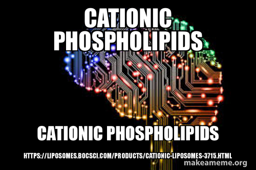 cationic phospholipids cationic phospholipids https://liposomes.bocsci ...