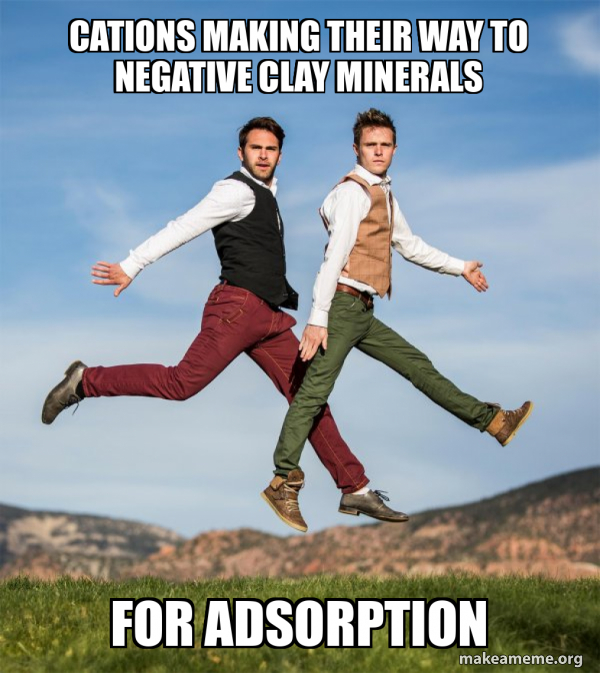 Cations making their way to negative clay minerals for ADSORPTION ...