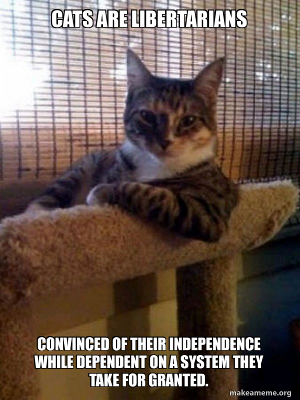CATS ARE LIBERTARIANS CONVINCED OF THEIR INDEPENDENCE WHILE DEPENDENT ...