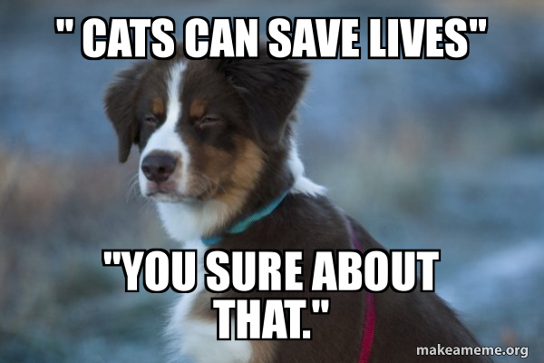 " Cats can save lives" "You sure about that." - Unsure Dog Meme Generator