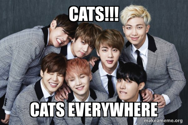 Cats!!! Cats everywhere - K-Pop Band BTS (Bangtan Boys) Meme Generator