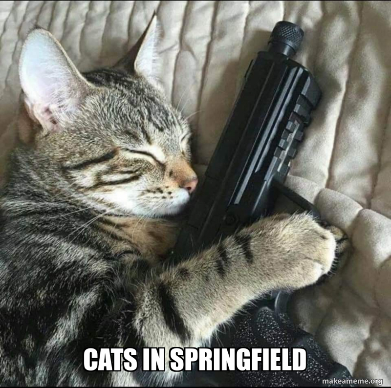 cats in springfield Meme Generator