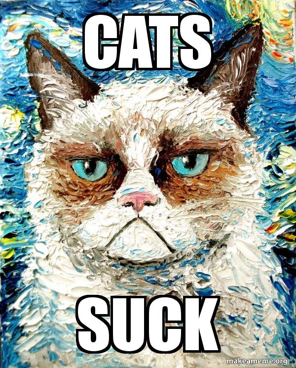 බල්ලෙක් උතුම් පූස් පදවිය ලබාගනී.. රට පුරා පූසන් ප්‍රීතිඝෝෂා නංවයි | ElaKiri