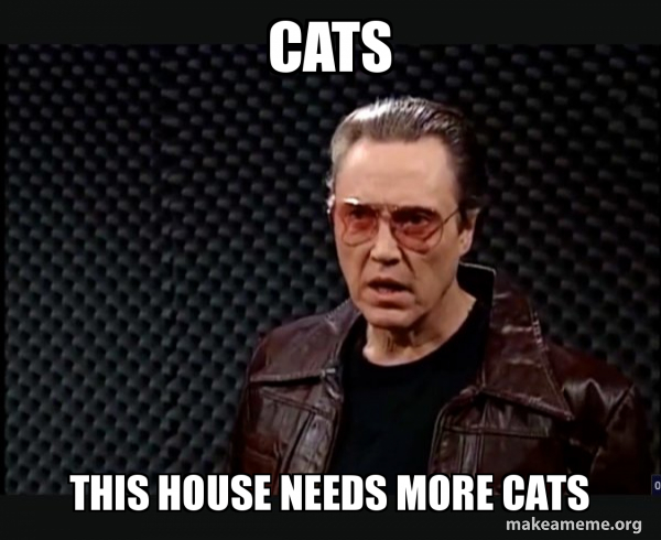 Cats This house needs more cats - SNL - More Cowbell Meme Generator