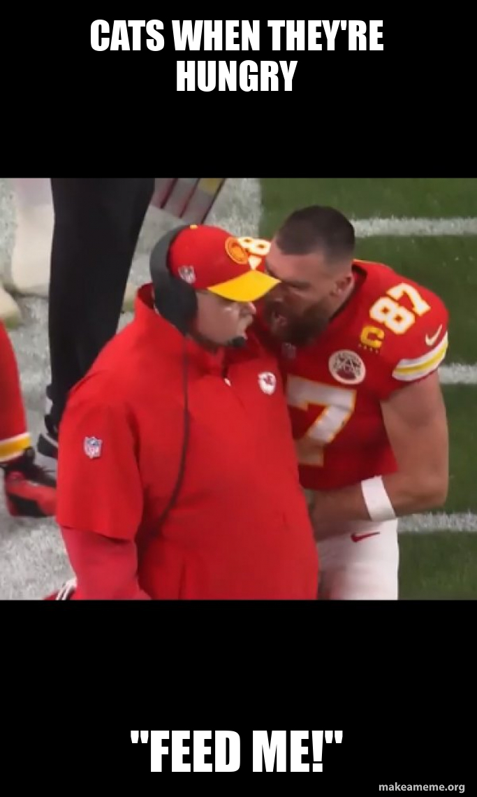 cats when they're hungry "FEED ME!" - Travis Kelce and Coach Meme Generator