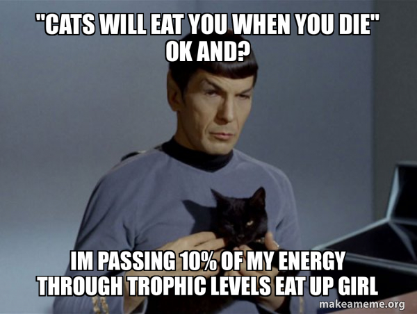 "cats will eat you when you die" ok and? im passing 10% of my energy ...