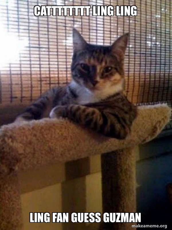 Catttttttt ling ling Ling fan guess Guzman - The Most Interesting Cat ...