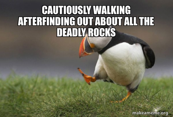 Cautiously walking afterfinding out about all the deadly rocks ...