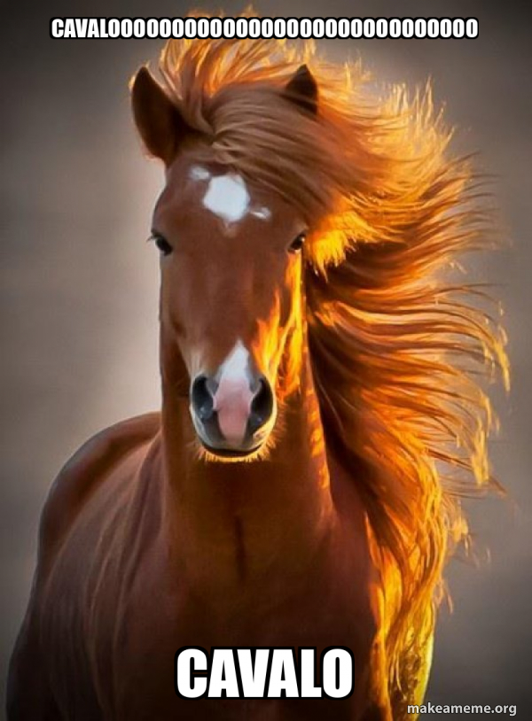 cavalooooooooooooooooooooooooooooo cavalo - Ridiculously photogenic ...