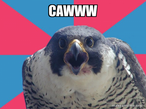 Cawww - Millennial Falcon Meme Generator