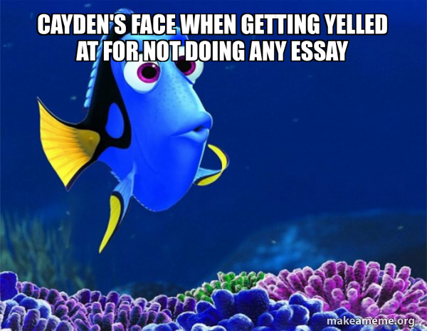 Cayden's face when getting yelled at for not doing any essay - Dory ...