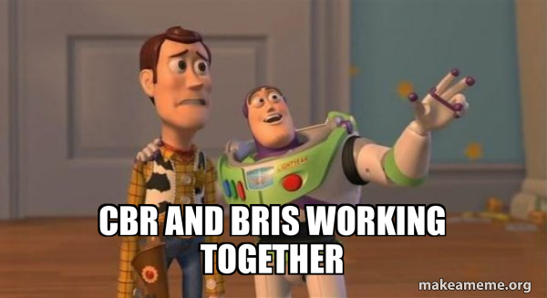 CBR and BRIS working together - Buzz and Woody (Toy Story) Meme Meme ...