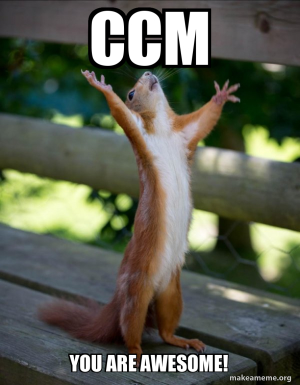 CCM You are awesome! - Happy Squirrel Meme Generator
