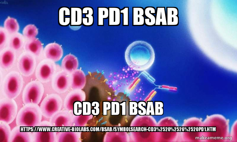 CD3 PD1 bsab CD3 PD1 bsab https://www.creative-biolabs.com/bsab ...