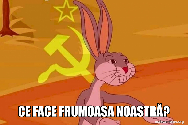 Ce face frumoasa noastrÄƒ? Meme Generator