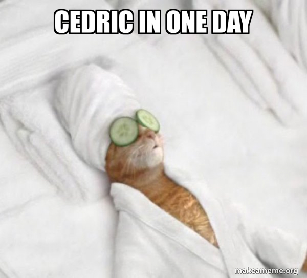 Cedric in one day - Pampered Cat Meme Meme Generator