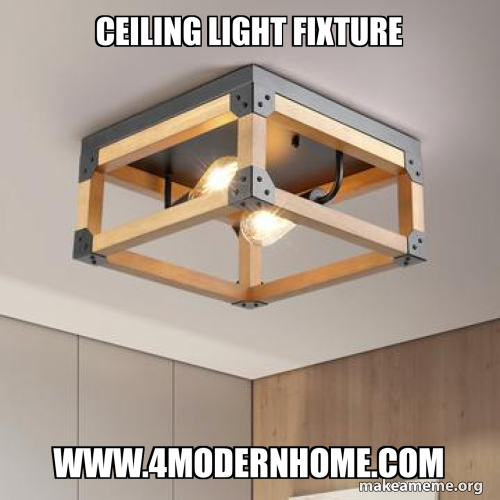 Ceiling Light Fixture www.4modernhome.com Meme Generator