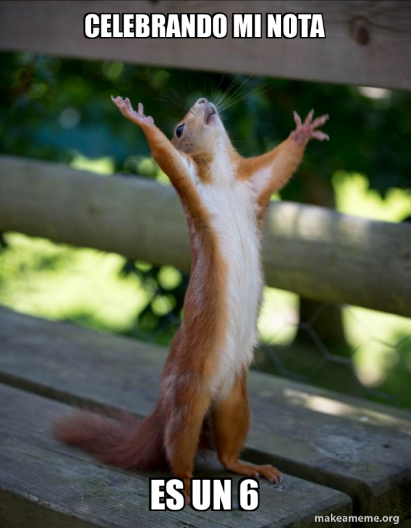 CELEBRANDO MI NOTA ES UN 6 - Happy Squirrel Meme Generator
