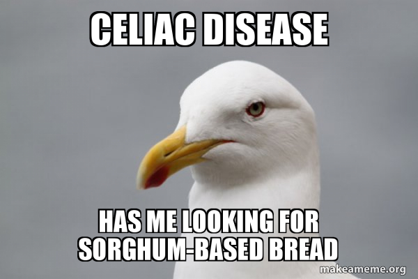 Celiac disease has me looking for sorghum-based bread - Stuff That Didn ...