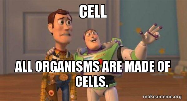 Cell all organisms are made of cells. - Buzz and Woody (Toy Story) Meme ...