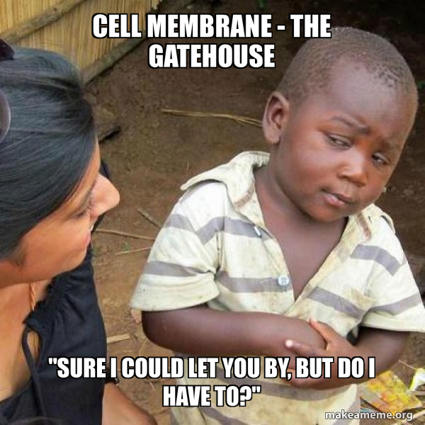 Cell Membrane - The Gatehouse "Sure I could let you by, but do I have ...