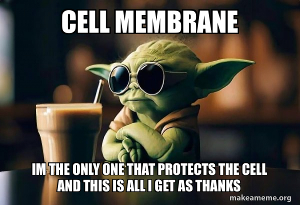 cell membrane im the only one that protects the cell and this is all i ...