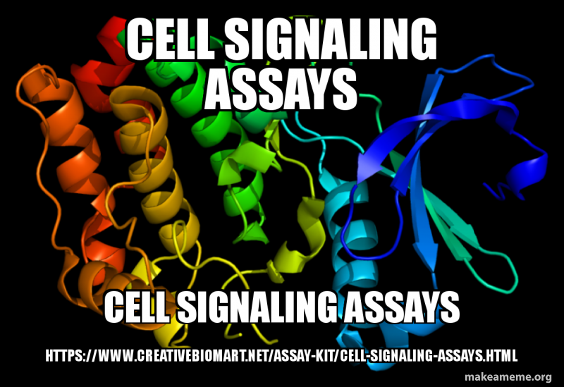 Cell Signaling Assays Cell Signaling Assays https://www.creativebiomart ...