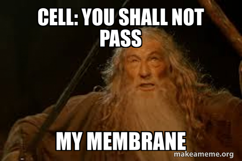 Cell: You shall not pass my membrane Meme Generator