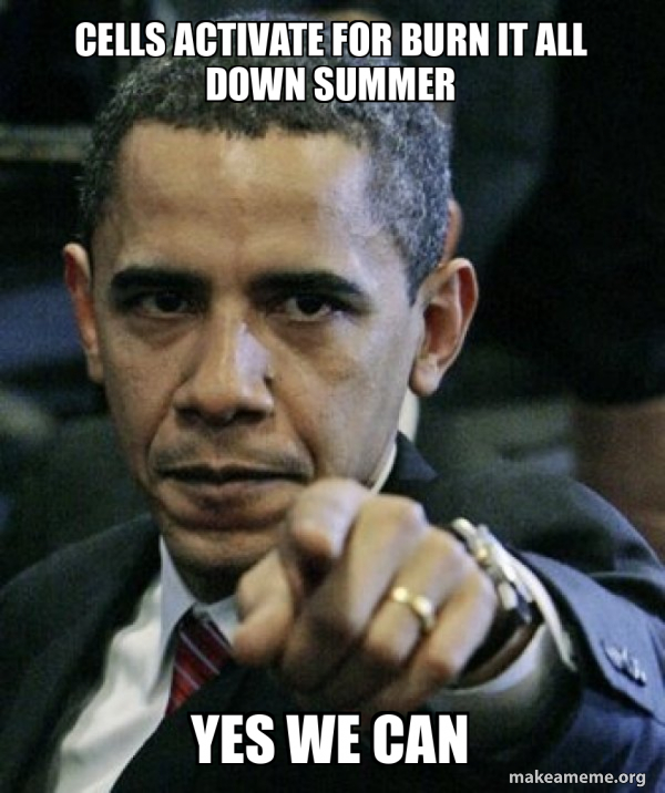 cells activate for burn it all down summer yes we can - Angry Obama ...