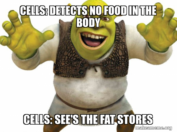 Cells: detects no food in the body Cells: See's the fat stores - Shrek ...