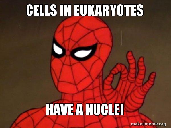Cells in Eukaryotes Have a nuclei - Spiderman - Care factor Zero Meme ...