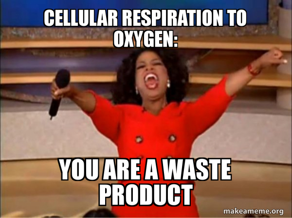 Cellular respiration to oxygen: You are a waste product - Oprah Winfrey - You Get a Car Meme ...